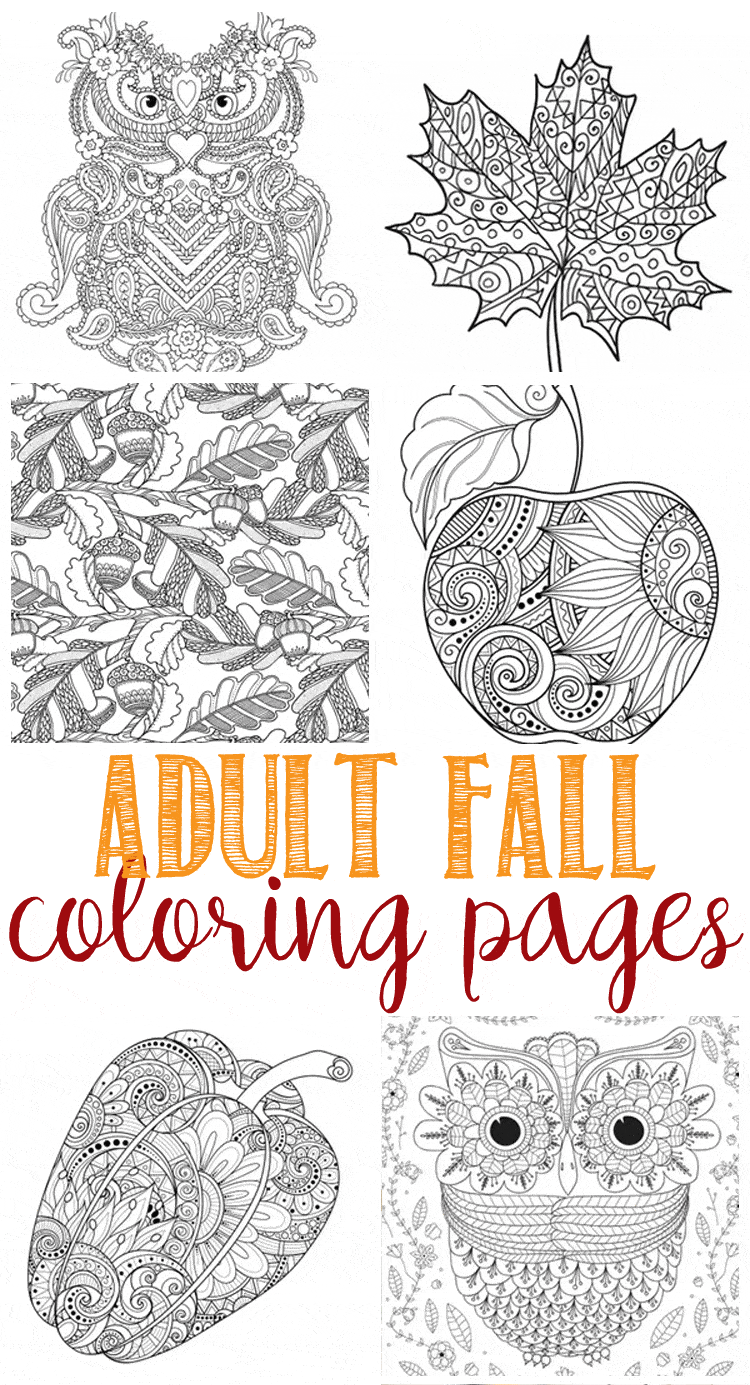 Fall Coloring Pages For Adults Domestically Speaking