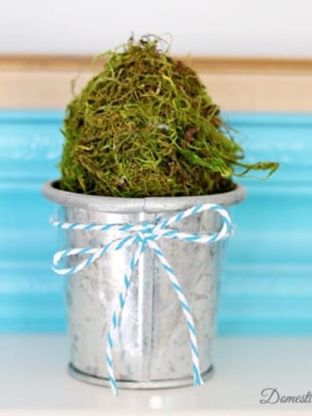 DIY Moss Eggs - Domestically Speaking