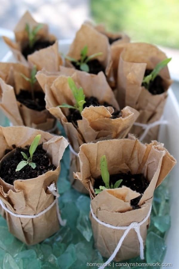 5 Inspiring Pots and Planters - Page 4 of 6 - Domestically Speaking