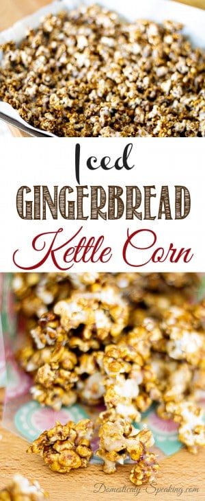 Iced Gingerbread Kettle Corn - Domestically Speaking