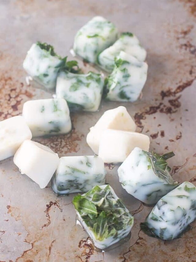 How to Freeze Fresh Herbs - Domestically Speaking