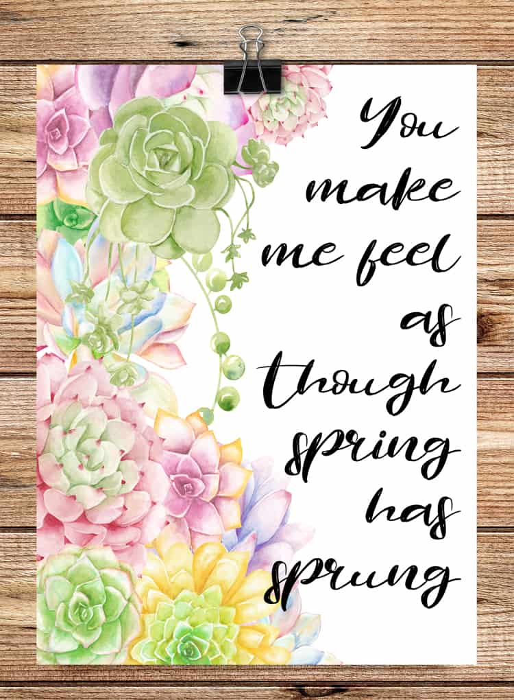 Spring Has Sprung