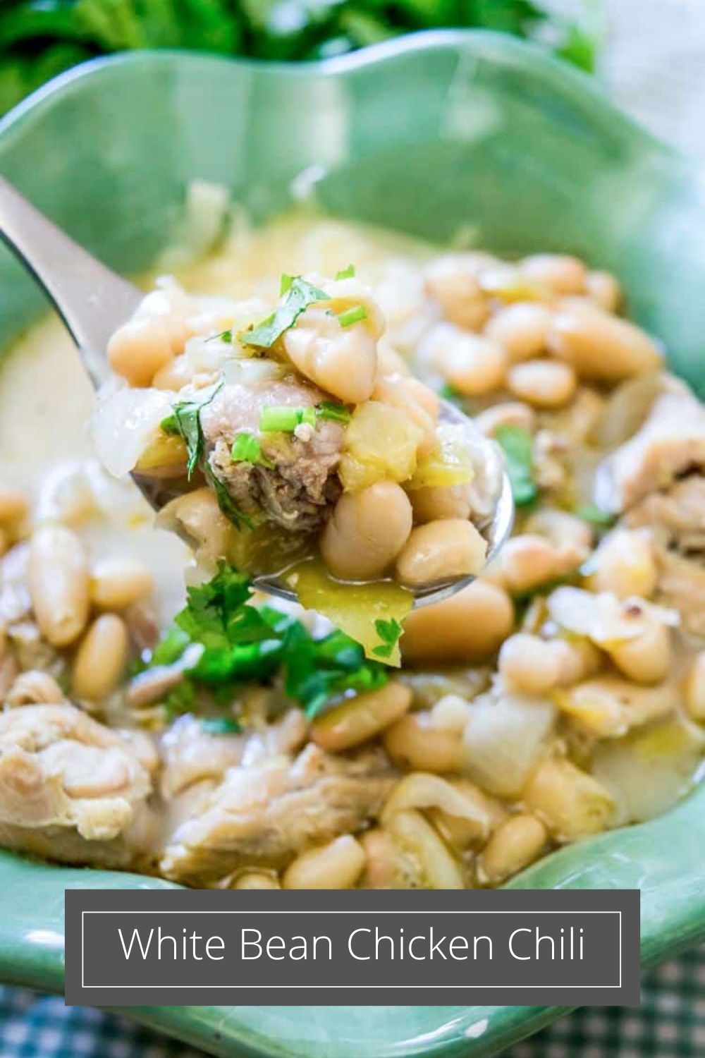 3 Bean Chicken Chili Recipe - Domestically Speaking