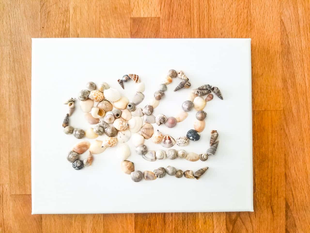 DIY Octopus Shell Art - Domestically Designed