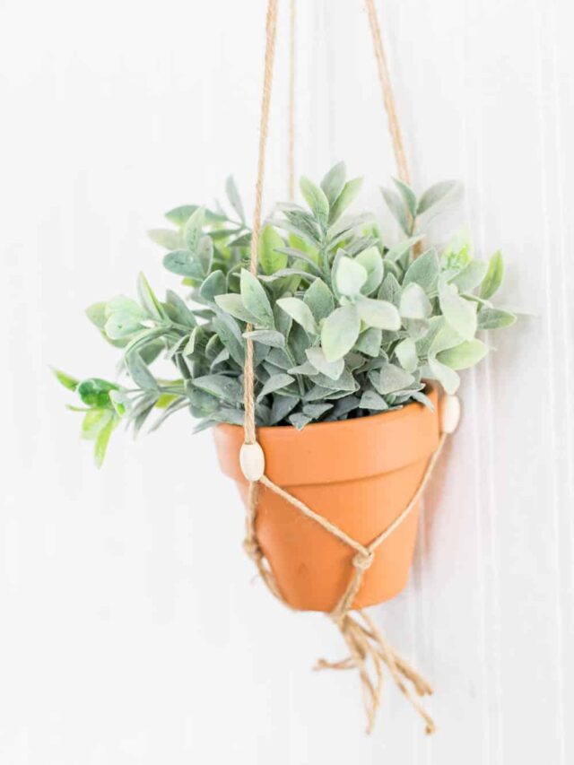 DIY Macramé Hanging Pot - Domestically Speaking