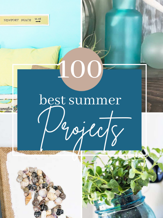 100 Best Summer Projects - Domestically Speaking
