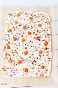Fall White Chocolate Bark - Domestically Speaking