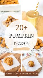 Fall Pumpkin Recipes - Domestically Speaking